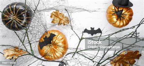 할로윈 구성 플랫 누워 상단보기 황금 호박 단풍 거미 복사 공간 긴 배너와 흰색 배경에 박쥐 10월에 대한 스톡 사진 및 기타