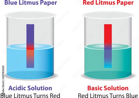 Vector Illustration Of Litmus PH Paper Indicators In A Chemical Container Litmus Test Blue