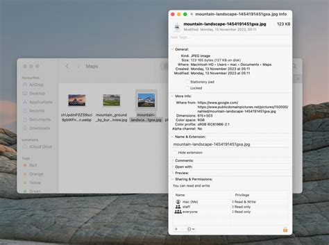 How To Find The File Path On Mac Proven Methods 2025