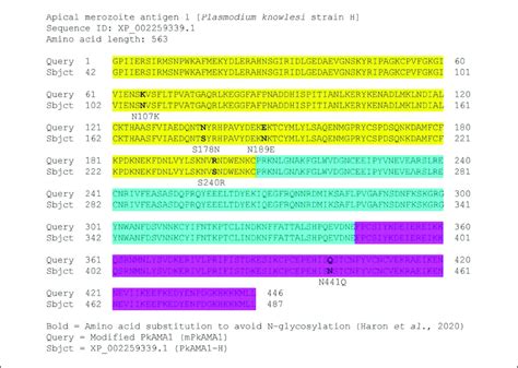 Ncbi Blast Alignment Of Ectodomain Of Plasmodium Knowlesi Ama1 For Download Scientific Diagram