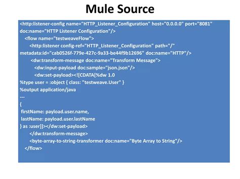 Mule Esb Ppt