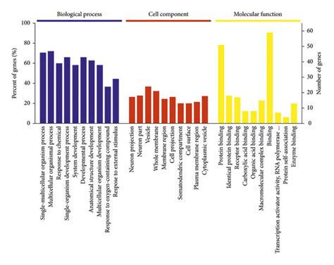 GO Analysis Related To 70 Genes Download Scientific Diagram