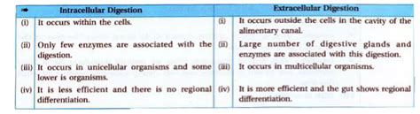 Difference Between Intracellular And Extracellular Intracellular