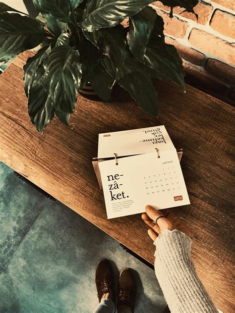 고요한 관상용 식물 날짜 단순한 달력 달력 뒤집기 달력 홀더 따뜻한 음색 러스틱 목조 테이블 무성한 녹지 문구 벽돌 벽 소매 손 수직 쐈어