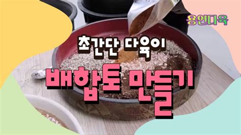 💖다육이흙💖 배합토💖간단하게 만들기💖👍💖 Youtube