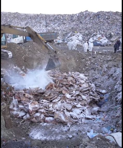 Шаардлага хангахгүй 47 64 тонн махыг устгажээ Хүнсний хувьсгал