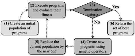 A Typical Genetic Programming Cycle Download Scientific Diagram