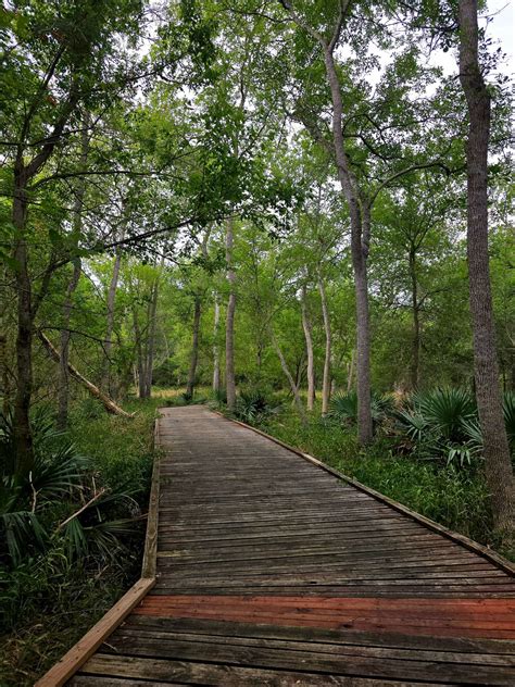 Palmetto State Park A Texas Gem Cerria Maryann Photography