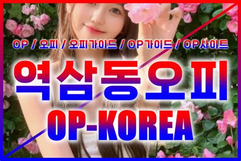 역삼동오피 한국오피 역삼동op 100 예약제 운영