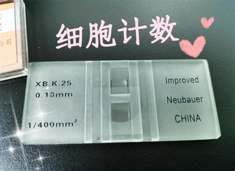 如何用血球计数板计算细胞数量