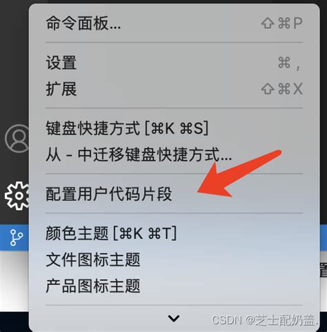 创建用户代码片段——vue Vscode Vue用户代码片段 Csdn博客