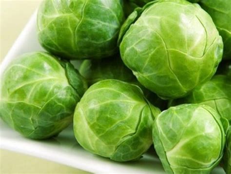 感染幽门怎么办？提醒：多吃3物，常饮3水，或可抑菌养胃东方养生频道东方养生