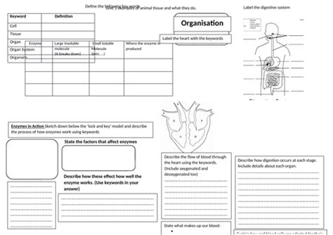Aqa Gcse Science Trilogy Biology Key Ideas Teaching Resources