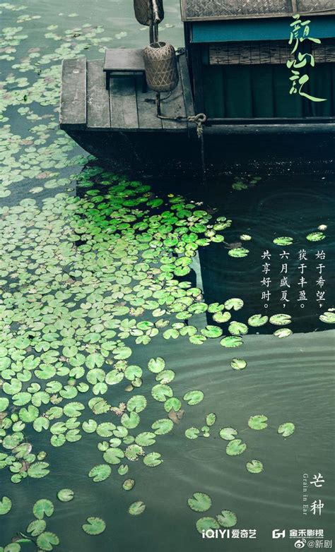 罗云熙宋轶新剧芒种海报六月盛夏共享好时