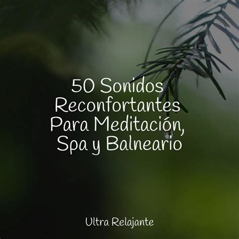 50 Sonidos Reconfortantes Para Meditación Spa Y Balneario Album By