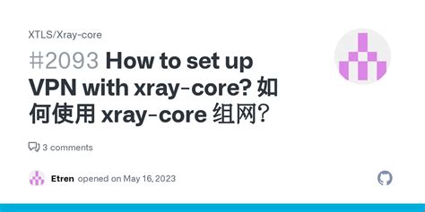 how to set up vpn with xray core 如何使用 xray core 组网？ · issue 2093