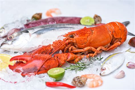 신선한 생선과 해산물 접시 에 조개 새우 게 껍질 오징어 오징어 게 랍스터와 생선 바다 미식 저녁 식사 생선 시장 음식에 허브와 향신료와 얼음신선한 생 해산물 갈고리 발톱에