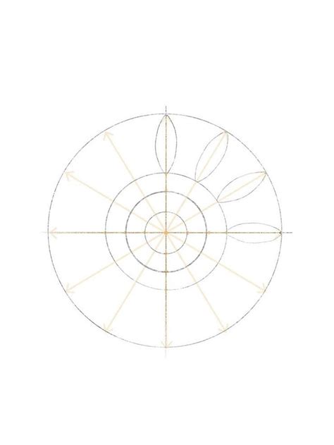 Learn To Draw A Sunflower In Procreate For Beginners Simple Flower