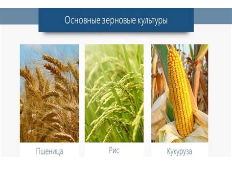 Сельское хозяйство мира - online presentation