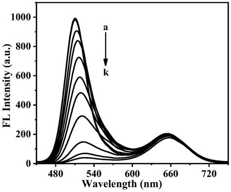 One For Ag A Ratiometric Fluorescence Nanosensor Construction Method For Sensitive Detection