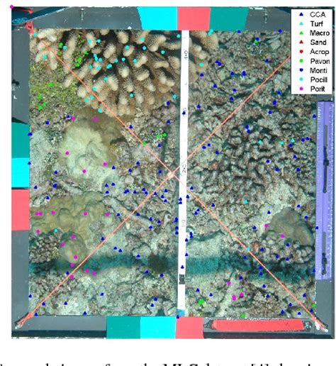 Figure 3 From Explorer Coral Classification With Hybrid Feature Representations Semantic Scholar