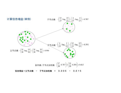 【决策树】一文看懂图解决策树原理：信息熵、条件熵与信息增益决策树的父节点和子节点的熵的大小关系为什么要视具体情况而定 Csdn博客