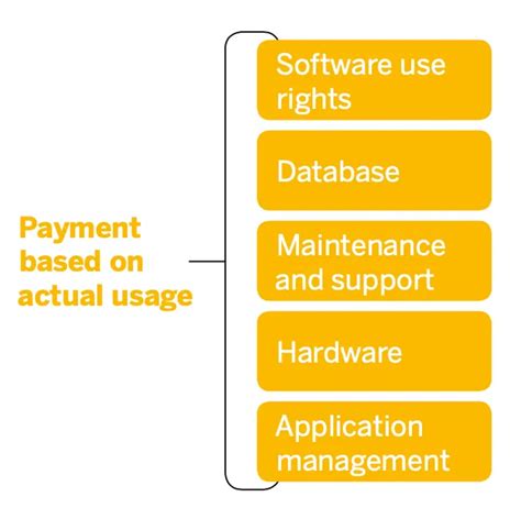 Navigate Sap Licensing With Expert Insights Understand Sap License Models