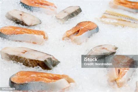 다양한 물고기조각이 얼음 위에 놓여 있습니다 붉은 바다와 흰 바다 물고기 신선함에 대한 스톡 사진 및 기타 이미지 신선함 얼음 연어 스테이크 Istock