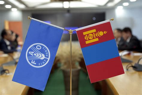 Зудын эрсдэл нэн их 11 аймгийн 510 өрхөд яаралтай тусламжийн багц олгоно