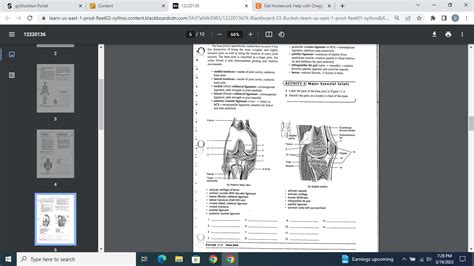 Solved The Knet Jeint Is Specifieally Soudied Here Because