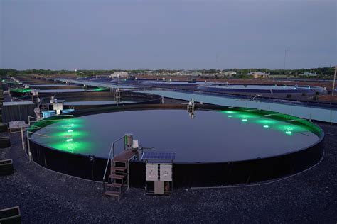 Aquaculture Technologies For Shrimp Farming — Rynan Technologies