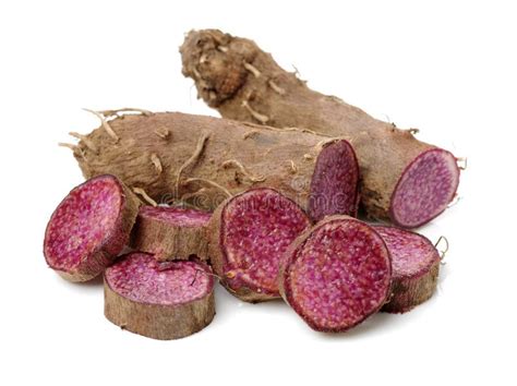 Fresh Dioscorea Alata Root Stock Image Image Of Nobody 143582655