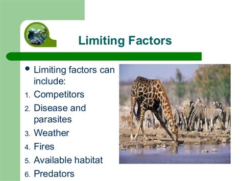 Limiting Factors Ecology Project