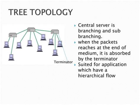 computer networking class 12 pptx