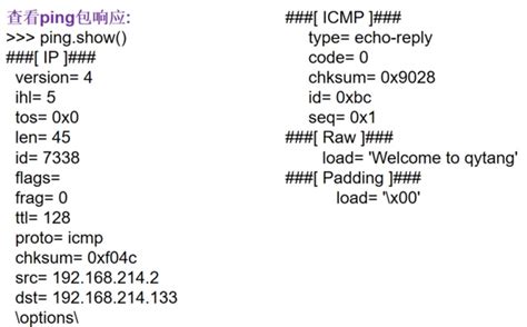 Python Scapy Ping 程序员大本营
