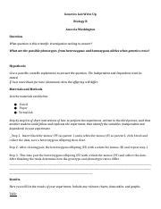 Copy Of Genetics Lab Write Up Docx Genetics Lab Write Up Biology B