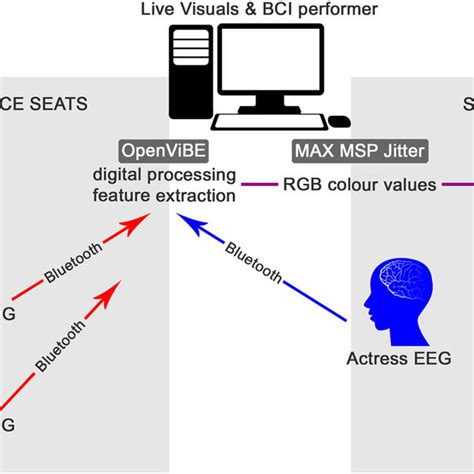 The Passive Multi Brain Eeg Based Bci System Vectors Of Human Profiles Download Scientific