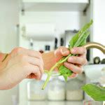 How To Keep Basil Fresh For Weeks The Chronicles Of Home