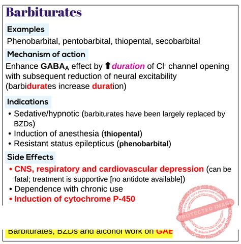 Examples Of Barbiturates At Benjamin Downie Blog