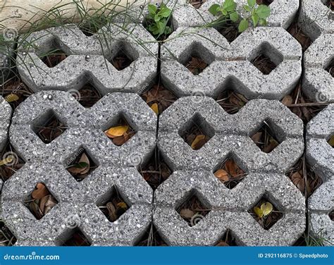 A Tree Growing Through A Concrete Wall Stock Image Image Of Flora Textured 292116875