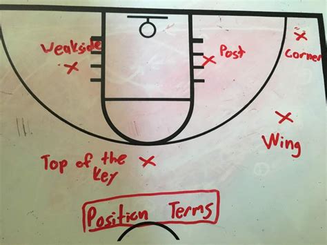 How To Run The Triangle Offense Hardwood Amino