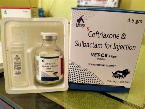 Assure Biotech Vet Cb Injection At Best Price In Dahod By Zumerwala