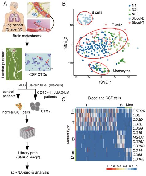 Figures Figure 1 Isolation Of Cerebrospinal Fluid Csf Circulating