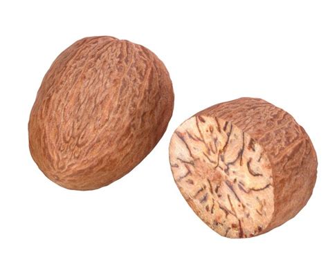 Artstation Nutmeg Game Assets