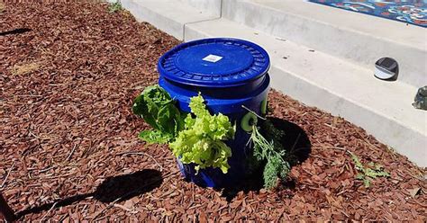 Update On Hydro Bucket Album On Imgur