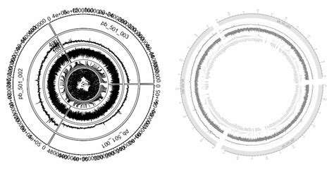 Beautiful Circos Plots In R • Rmf