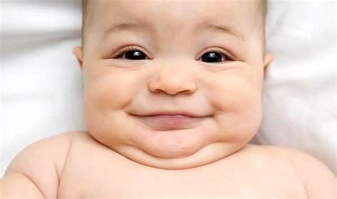 فحش ها اگه قیافه داشتن، چه شکلی می شدن؟؟؟ عکس