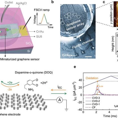 Engineered Multilayer Graphene Sensors With Predictable Sensitivity A