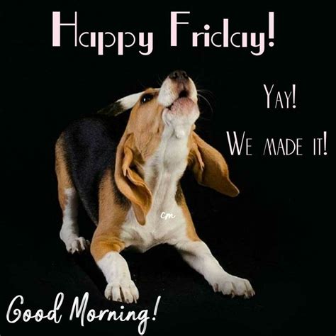 Happy Friday Cute Nvmaha
