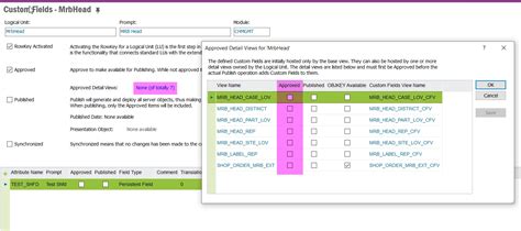 Creating A Reference Custom Field Error Details 4063 Ifs Community